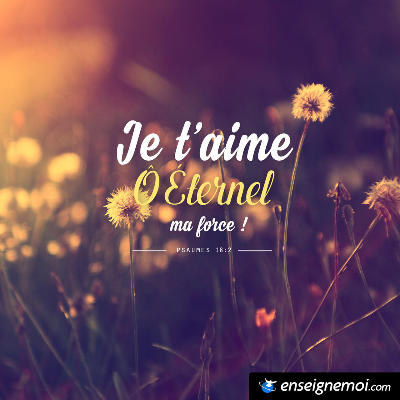 Le verset du jour en image :: Bible :: EMCI TV