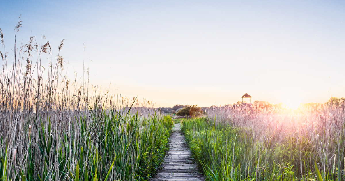 Vivre au calme et trouver ses lieux de repos - Olivier Moulin - EMCI TV