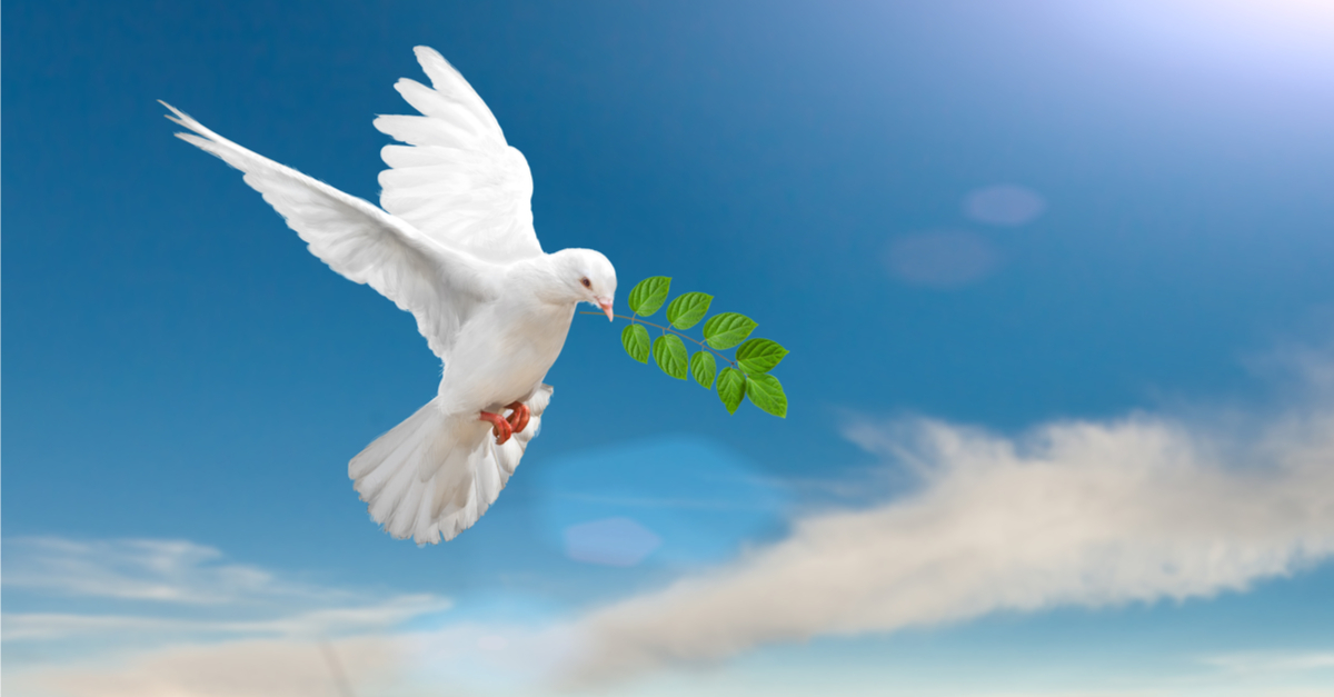 10 promesses bibliques sur la paix - EMCI TV 10 promesses bibliques sur la paix - EMCI TV